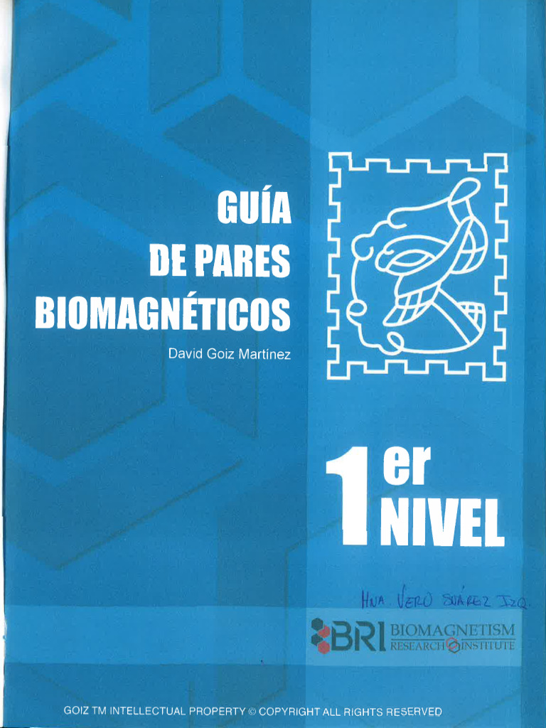 Guia de Magnetismo 1er Nivel | PDF