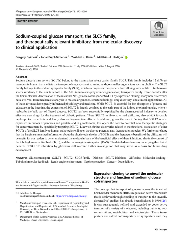 Sodium-Coupled Glucose Transport, The SLC5 Family, and Therapeutically ...