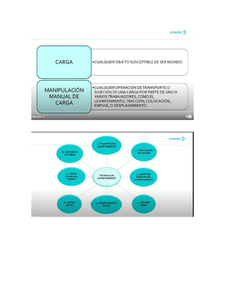 Manejo Manual de Cargas | PDF