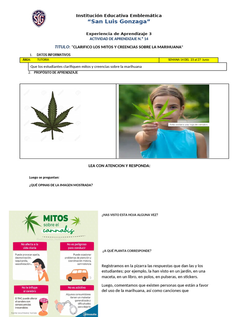 Material Tutoria Sem 14 II Bim - Ok | PDF | Cannabis (Droga) | Cognición