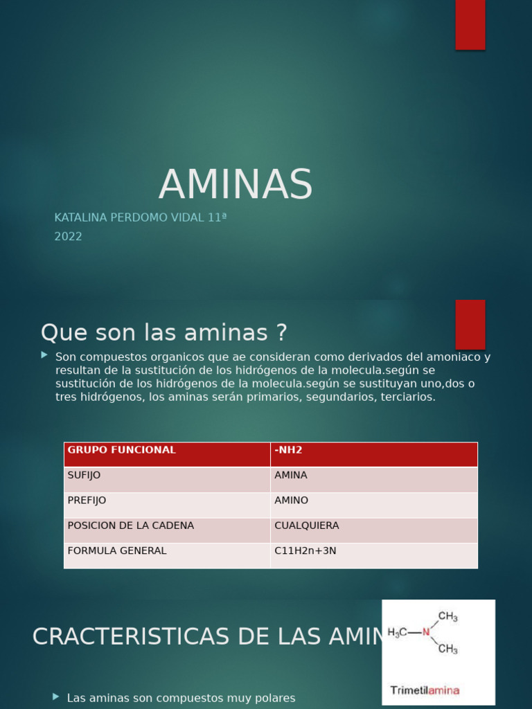 AMINAS | PDF | Amina | Compuestos químicos