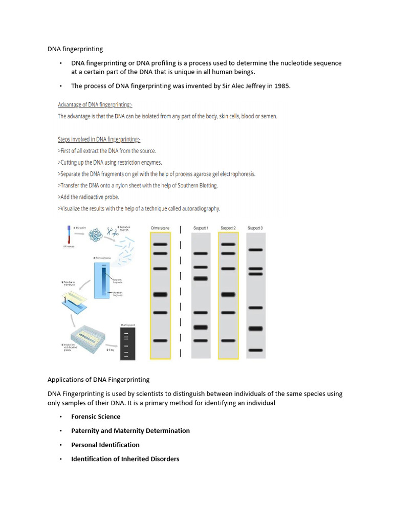 DNA Fingerprinting | PDF