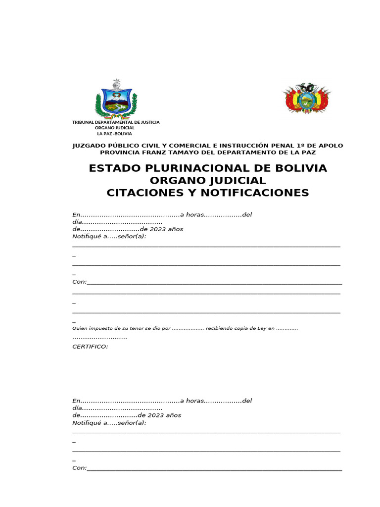 Formulario 2023 | PDF | Esfera pública | Tribunales