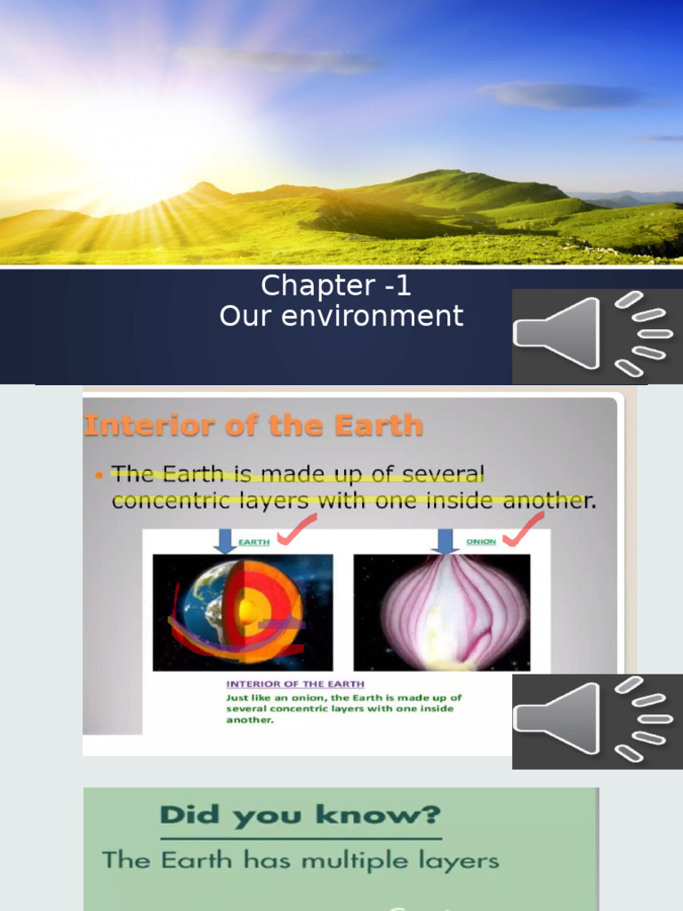 Chapter _1 Our Environment | PDF