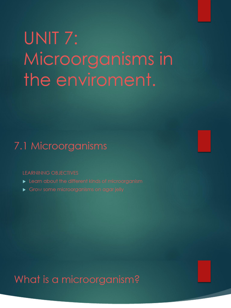 Unit 7 Microorganisms in The Environment | PDF | Foods | Food Web