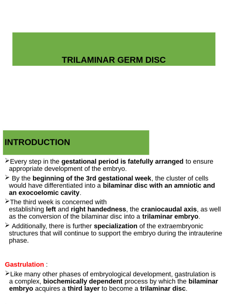 Trilaminar Germ Disc-1 | PDF | Developmental Biology | Anatomy