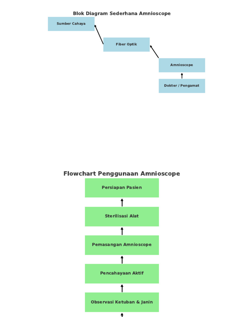 Amnioscope Diagram Flowchart | PDF