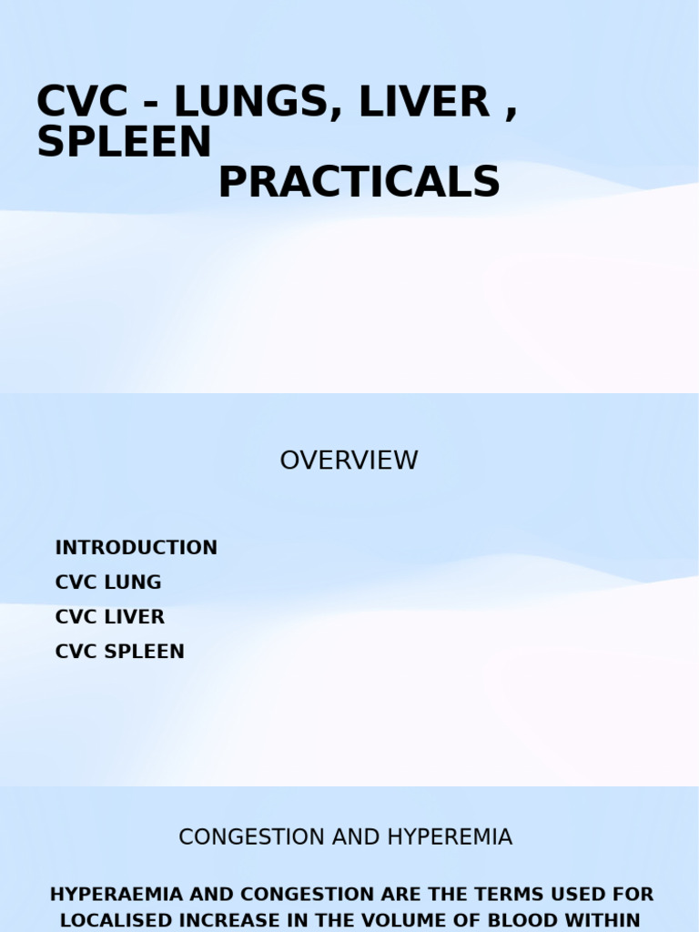 CVC Practicals | PDF