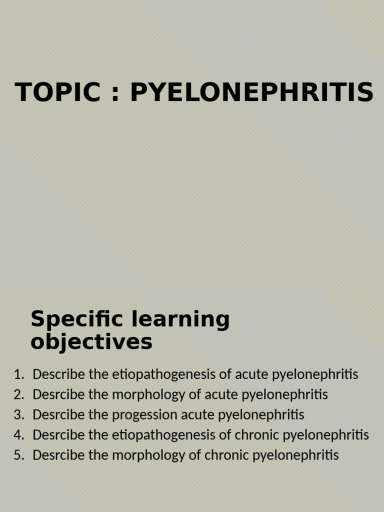 Pyelonephritis Pathology Overview | PDF | Kidney | Medical Specialties