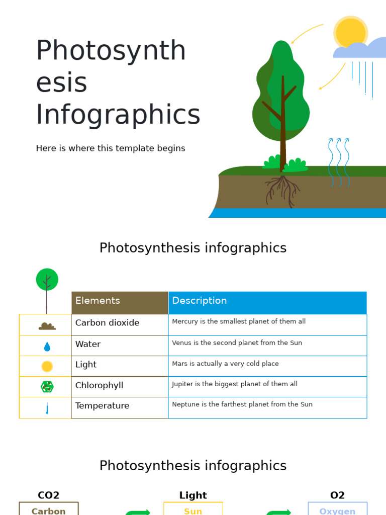 Photosynthesis Infographics by Slidesgo | PDF | Planets | Photosynthesis