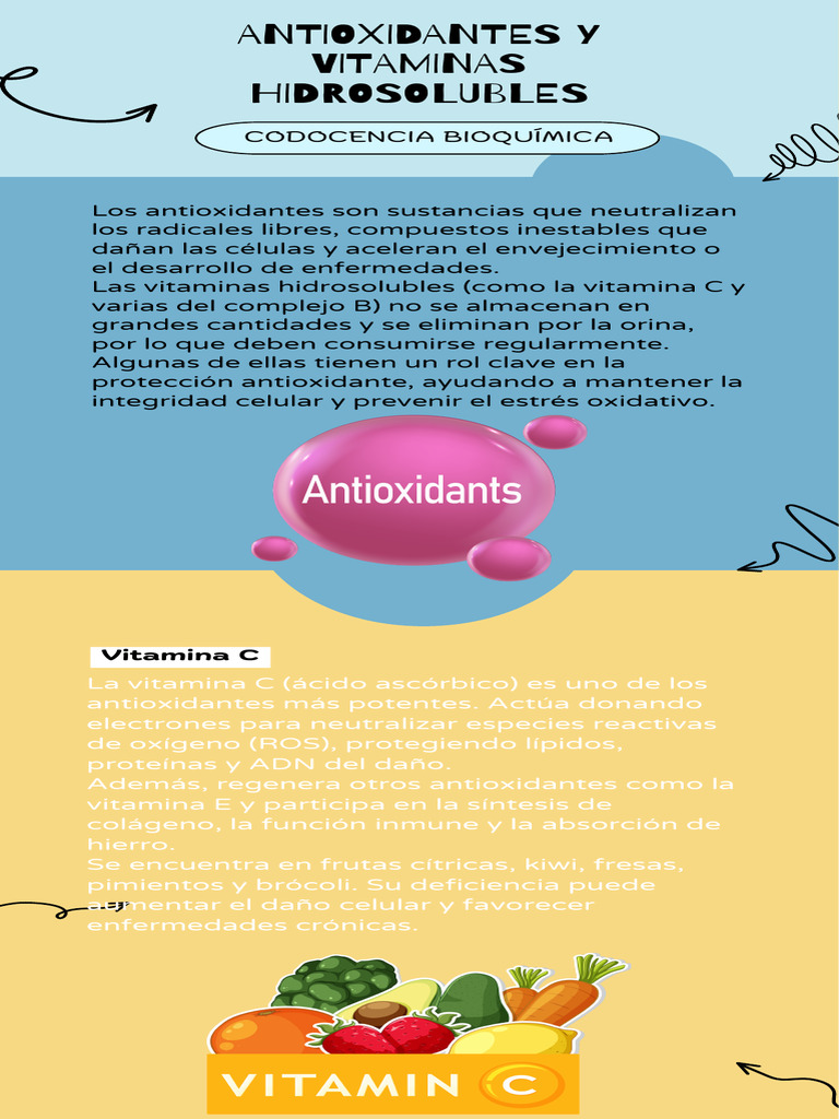 Bioqui | PDF | Antioxidante | Vitamina C