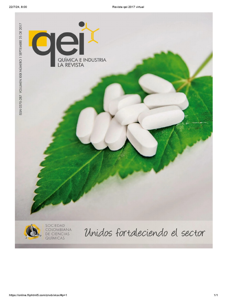 Revista Qei 2017 Virtual | PDF
