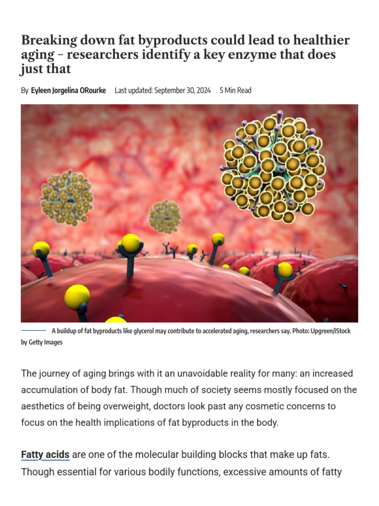 Breaking Down Fat Byproducts Could Lead To Healthier Aging Researchers ...