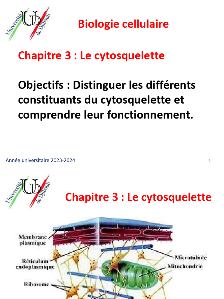 Comprendre le cytosquelette cellulaire | PDF | Cytosquelette | Microtubule