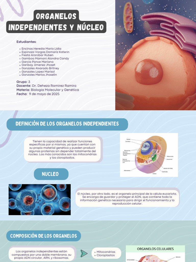 Cell Organelles & Structures Lesson Presentation in Blue and Pink Hand ...