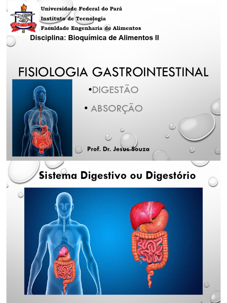 Fisiologia da Digestão e Absorção Intestinal | PDF | Trato ...