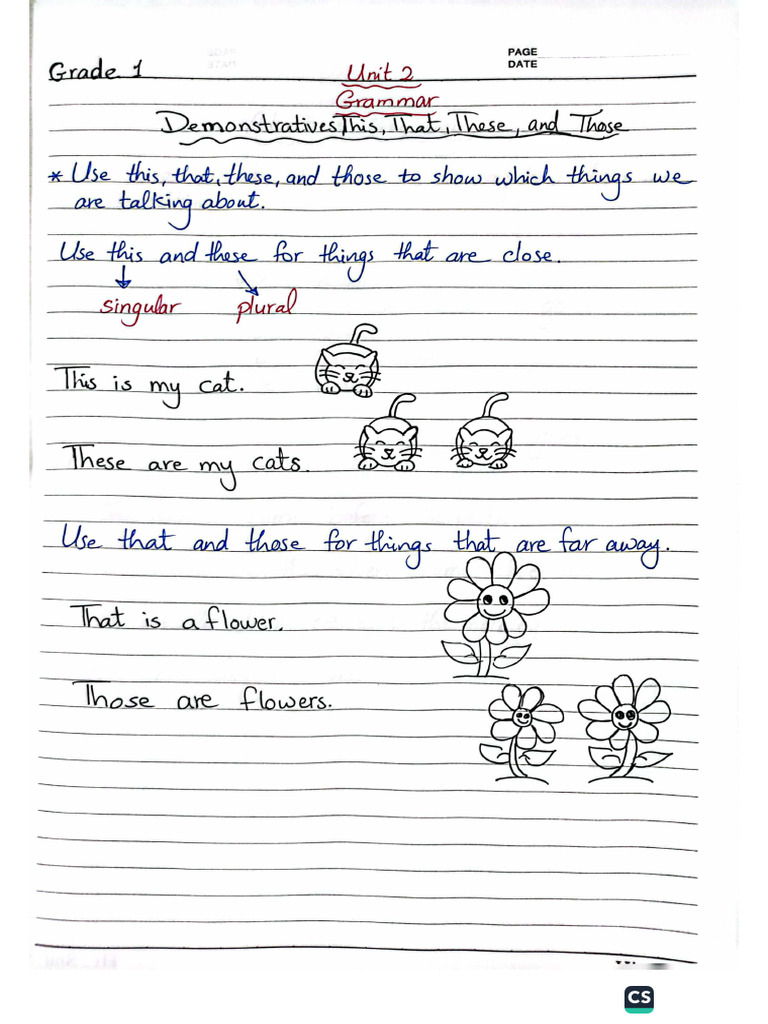 Grade 1 Unit 2 Grammar | PDF