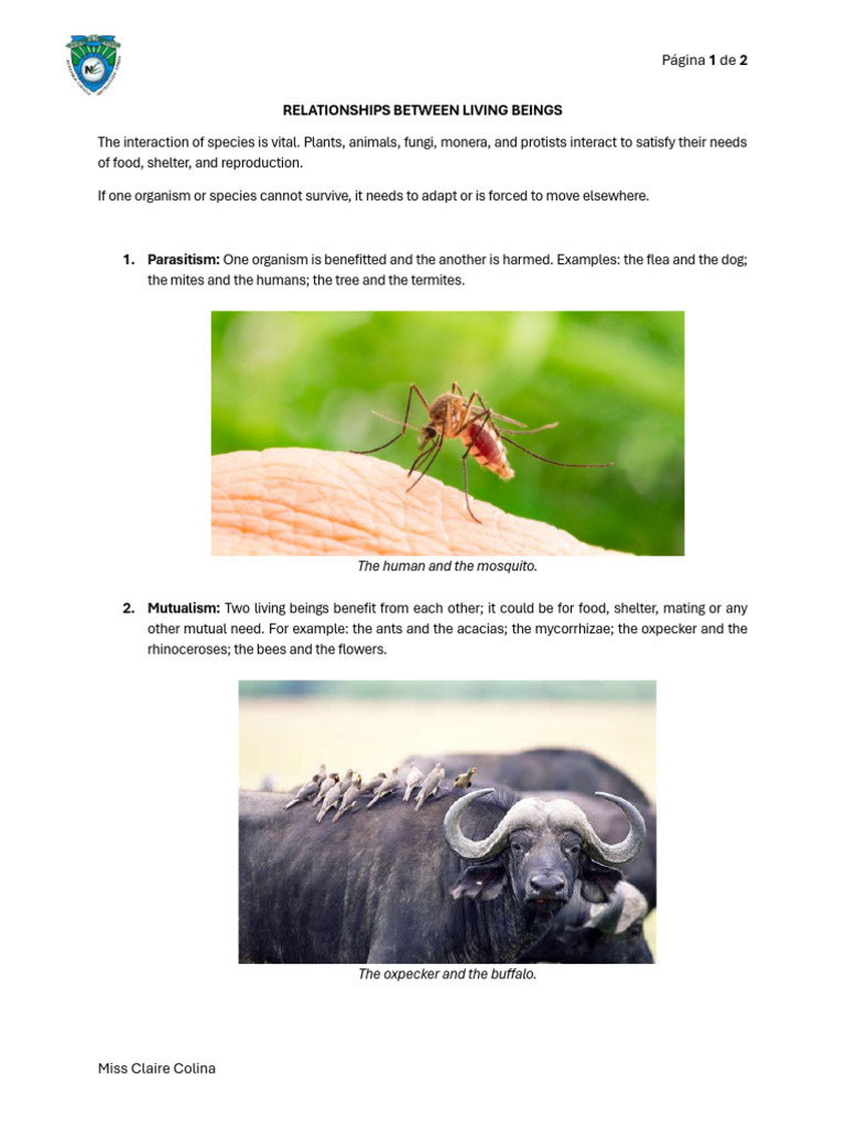 3 - 1st Term - Relationships Between Living Beings | PDF