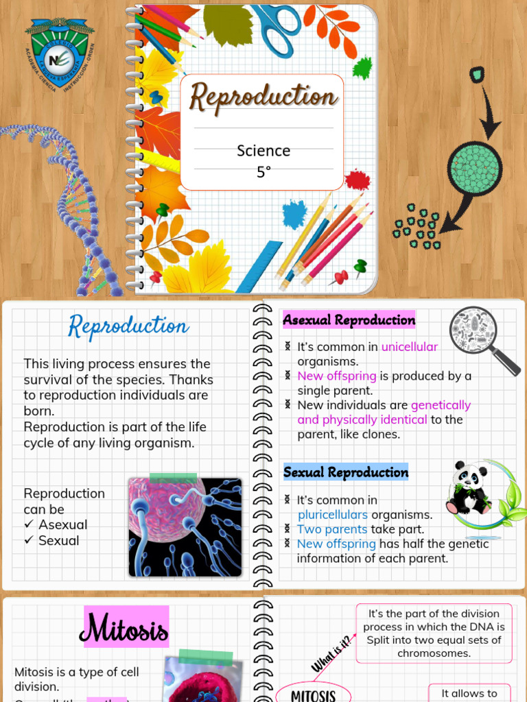 5 - 1st Term - Cell Reproduction - Mitosis | PDF | Mitosis | Systems ...