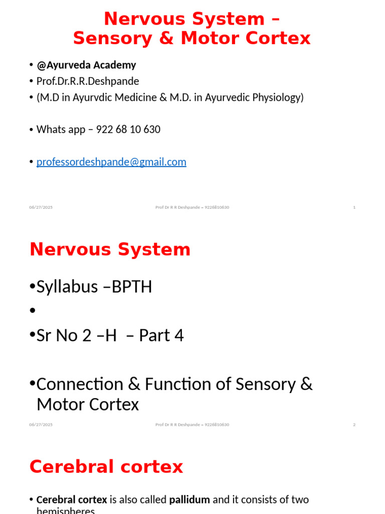 Sensory & Motor Cortex | PDF