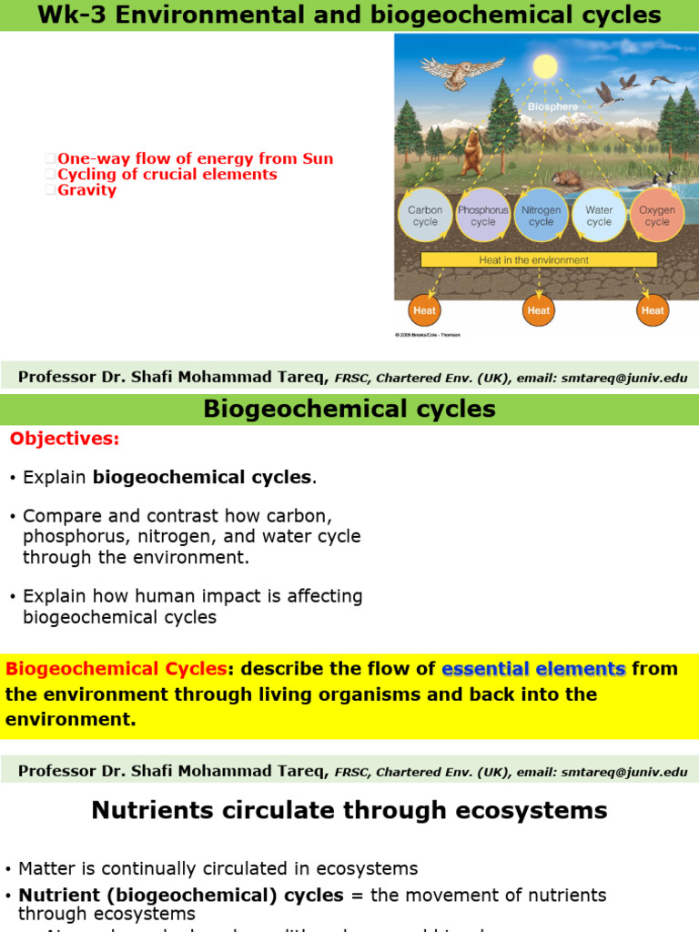 WK 3+Environmental+and+Biogeochemical+Cycles | PDF | Water Cycle ...