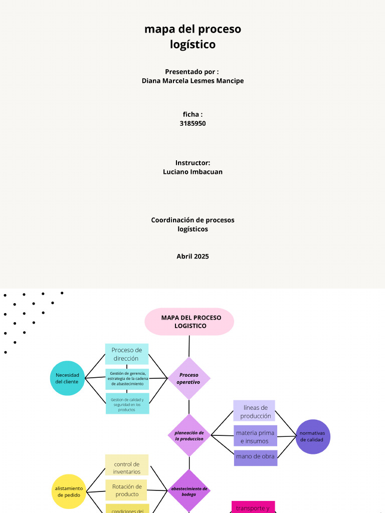 Mapa de Proceso Logistico | PDF