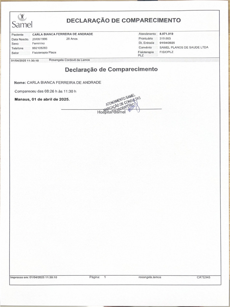 Declaracao 01-04 - Carla Bianca | PDF