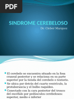 Síndromes Cerebelosos: Vermiano y Hemisferios | PDF | Cerebelo ...