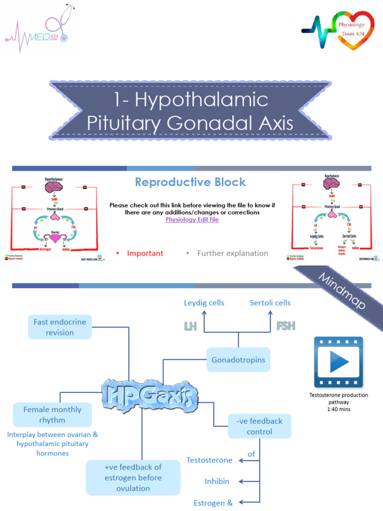 1-Hypothalamic Pituitary Gonadal Axis-1 | PDF | Luteinizing Hormone ...