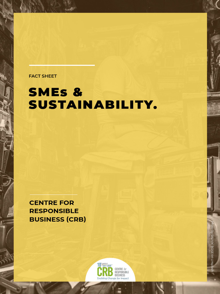 SME Sustainability Fact Sheet v3 1 | PDF | Small And Medium Sized ...