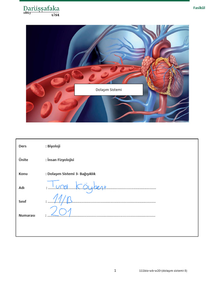 111bio-Wb-W20-Dolaşım Sistemi-3 | PDF