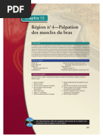Testing Musculaire : Évaluation et Méthodes | PDF | Jambe humaine | Genou