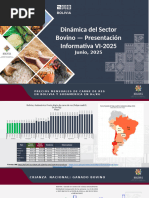Censo Agrop 2024 Resultados Preliminares | PDF | Agricultura