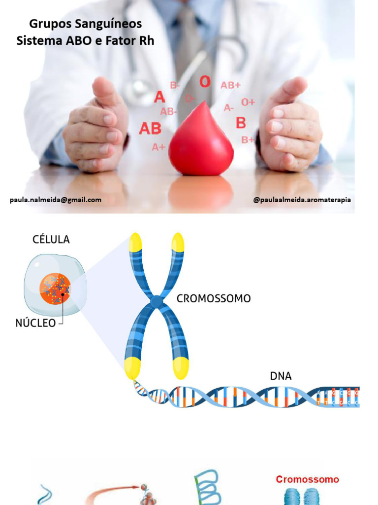 Sistema ABO e Fator RH - para Alunos | PDF