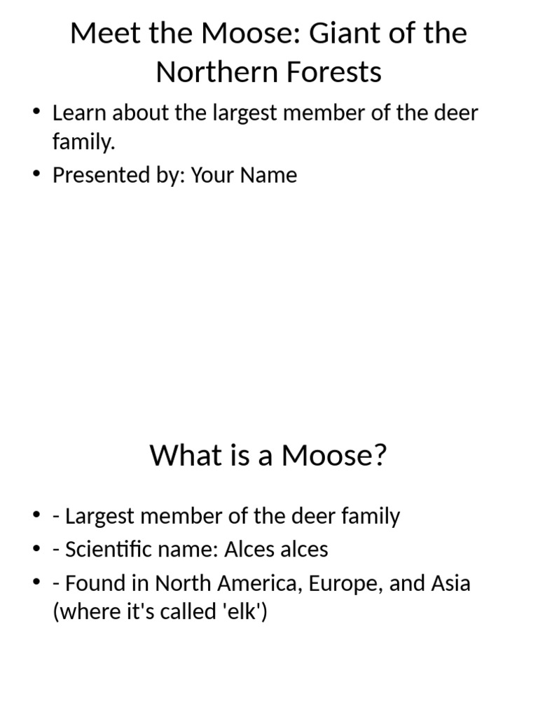 Moose Presentation | PDF