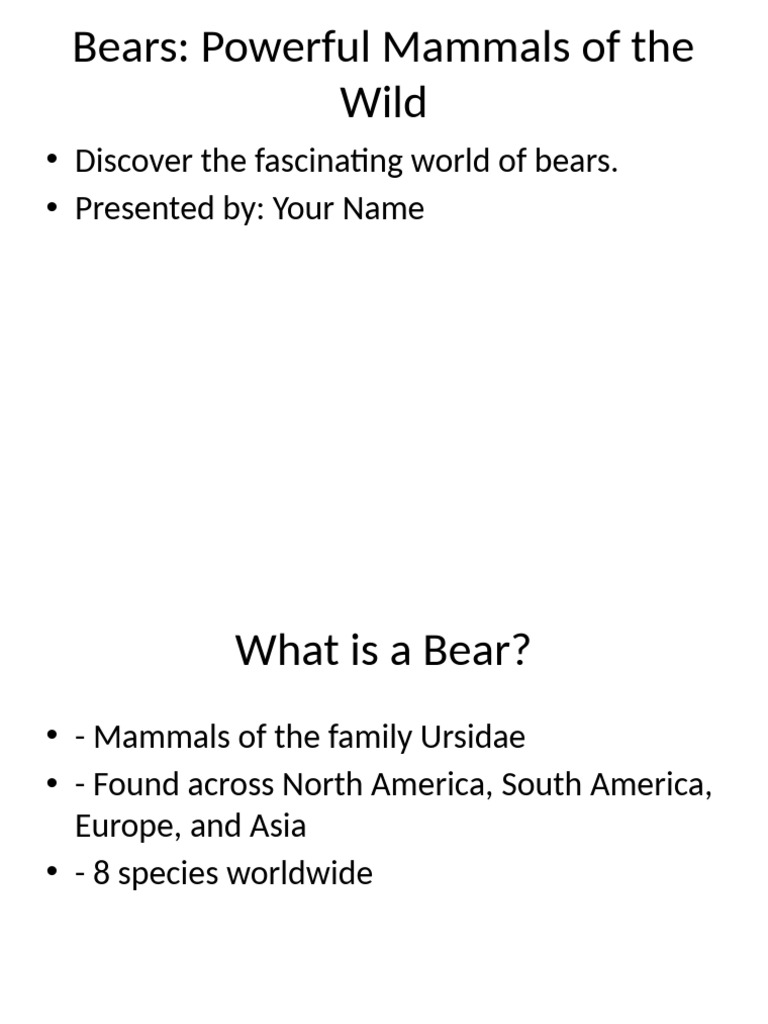 Bear Presentation | PDF