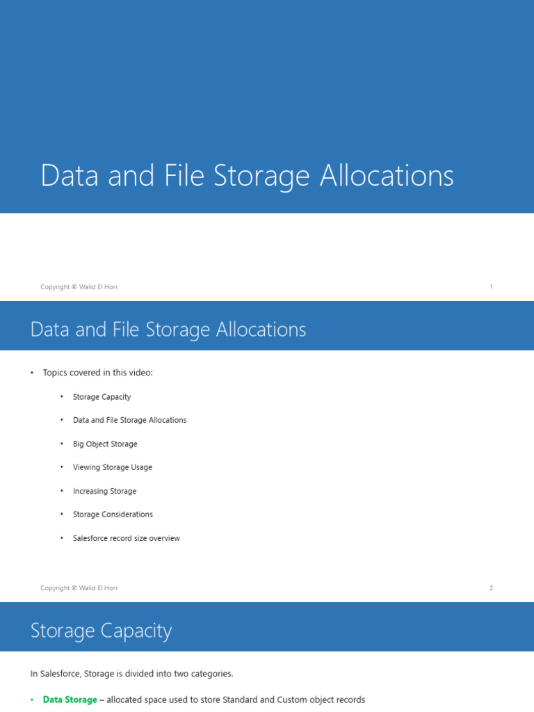 Salesforce Data and File Storage Guide | PDF | Computer File | File System