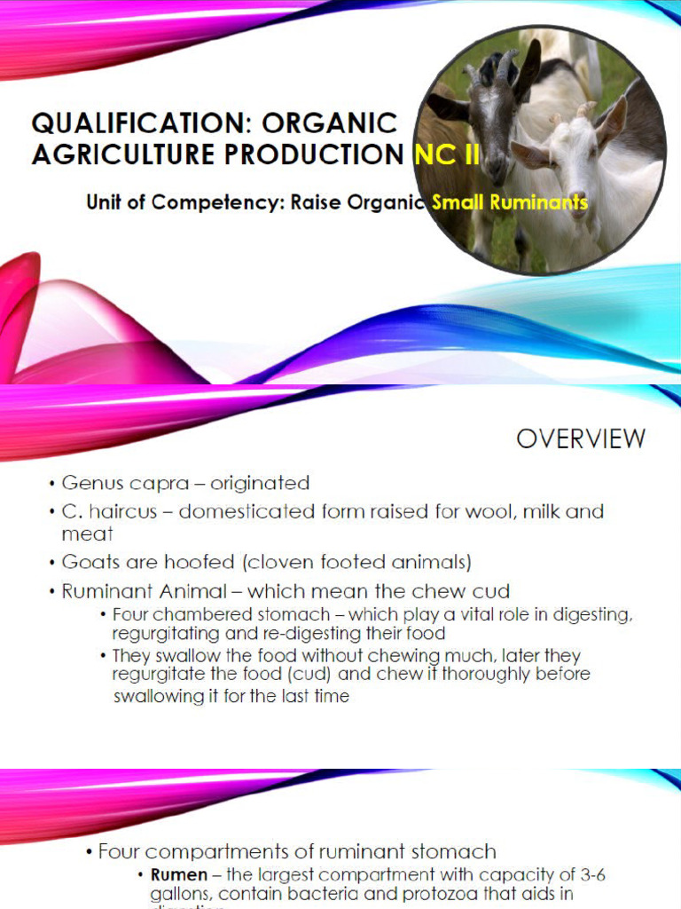 Raise Orgnic Small Ruminants Goat | PDF