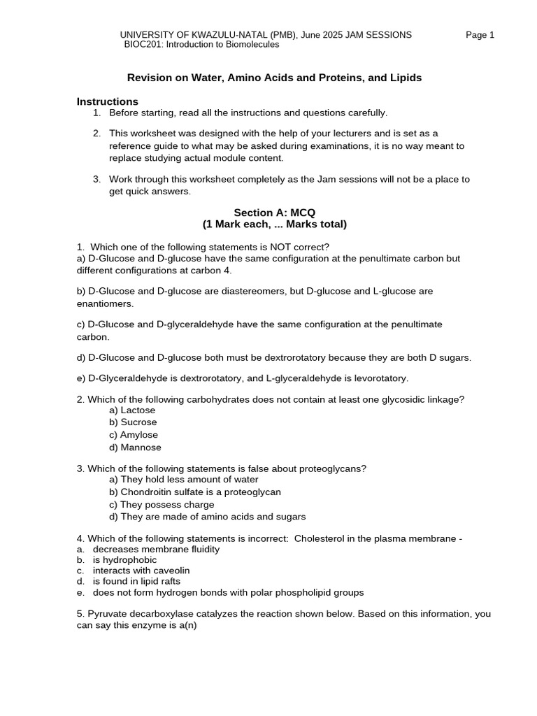 Bioc201 2025 Jam Session | PDF | Glucose | Dna