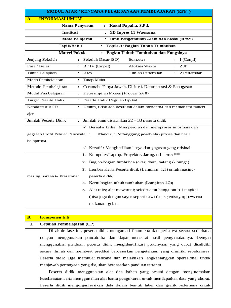Modul Ajar PMM | PDF