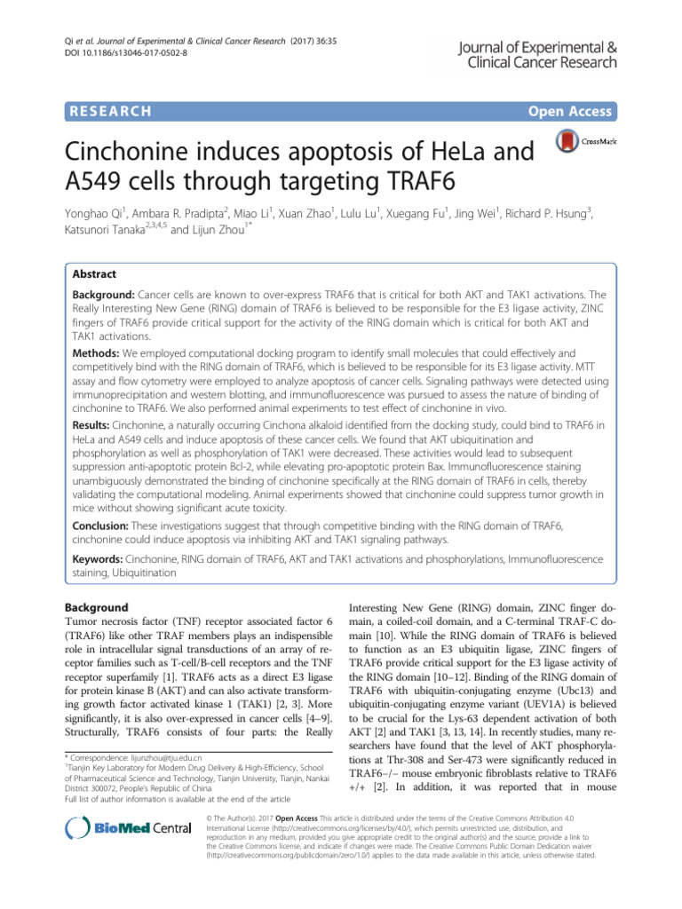 Cinchonine Induces Apoptosis of HeLa and | PDF | Protein Kinase B ...