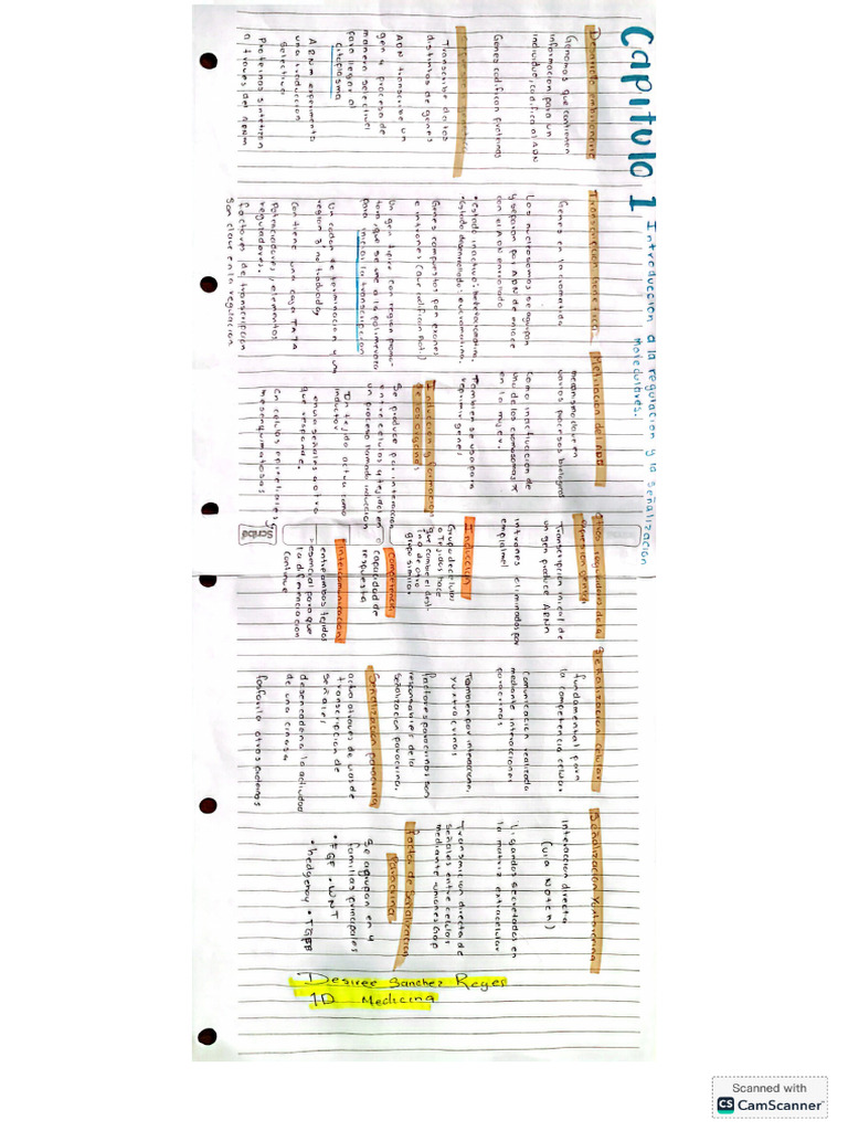 Desiree Sánchez Reyes 1D Medicina | PDF