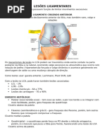 Protocolo Reabilitacao LCA Traduzido | PDF