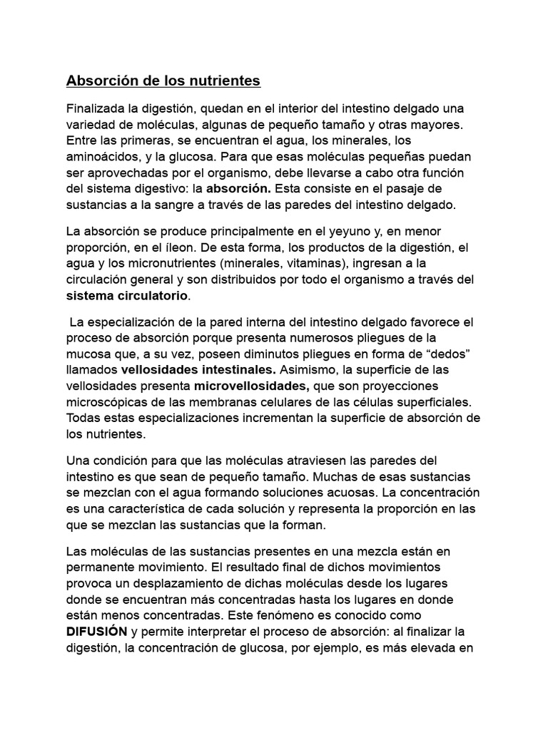 Cómo funciona la absorción de nutrientes | PDF | Digestión | Tracto ...