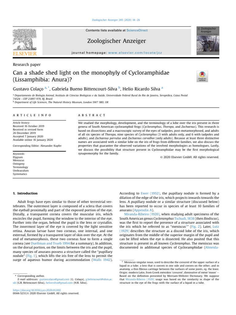 Can A Shade Shed Light On The Monophyly of Cycloramphidae (Lissamphibia ...