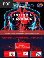 Función y Ubicación del Plexo Cardíaco | PDF
