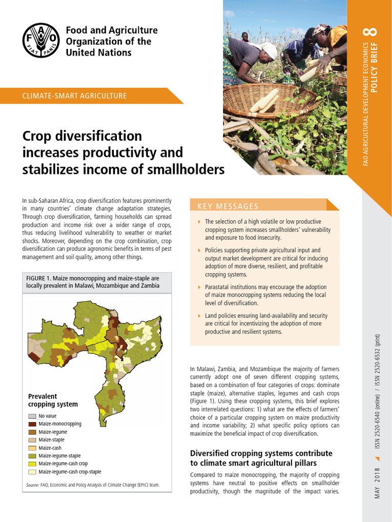Crop Diversification Increases Productivity and Stabilizes Income of ...