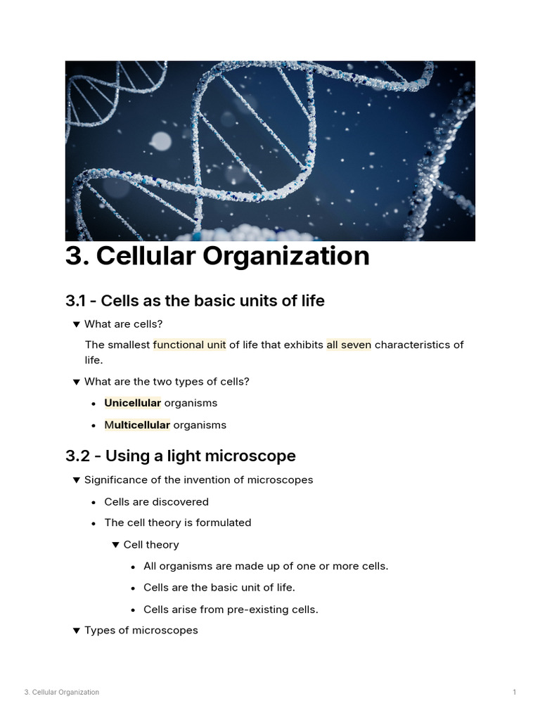 Understanding Cellular Organization | PDF | Cell (Biology ...