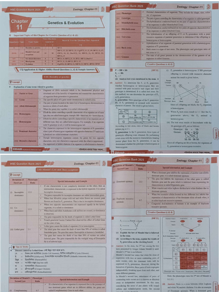 Ch-11 Genetics | PDF