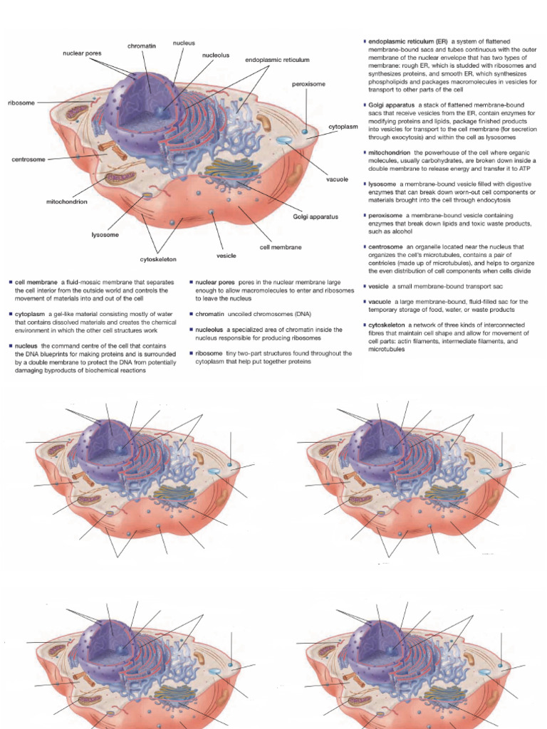 Untitled (Draft) | PDF